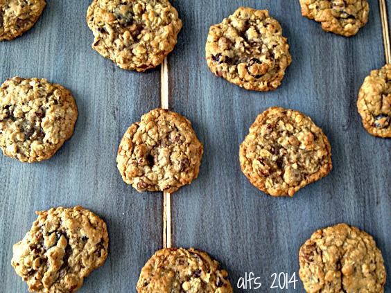 Fly out of the kitchen cookies. - A Life From Scratch.