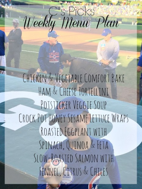 C's picks - week of October 4th - A Life From Scratch.